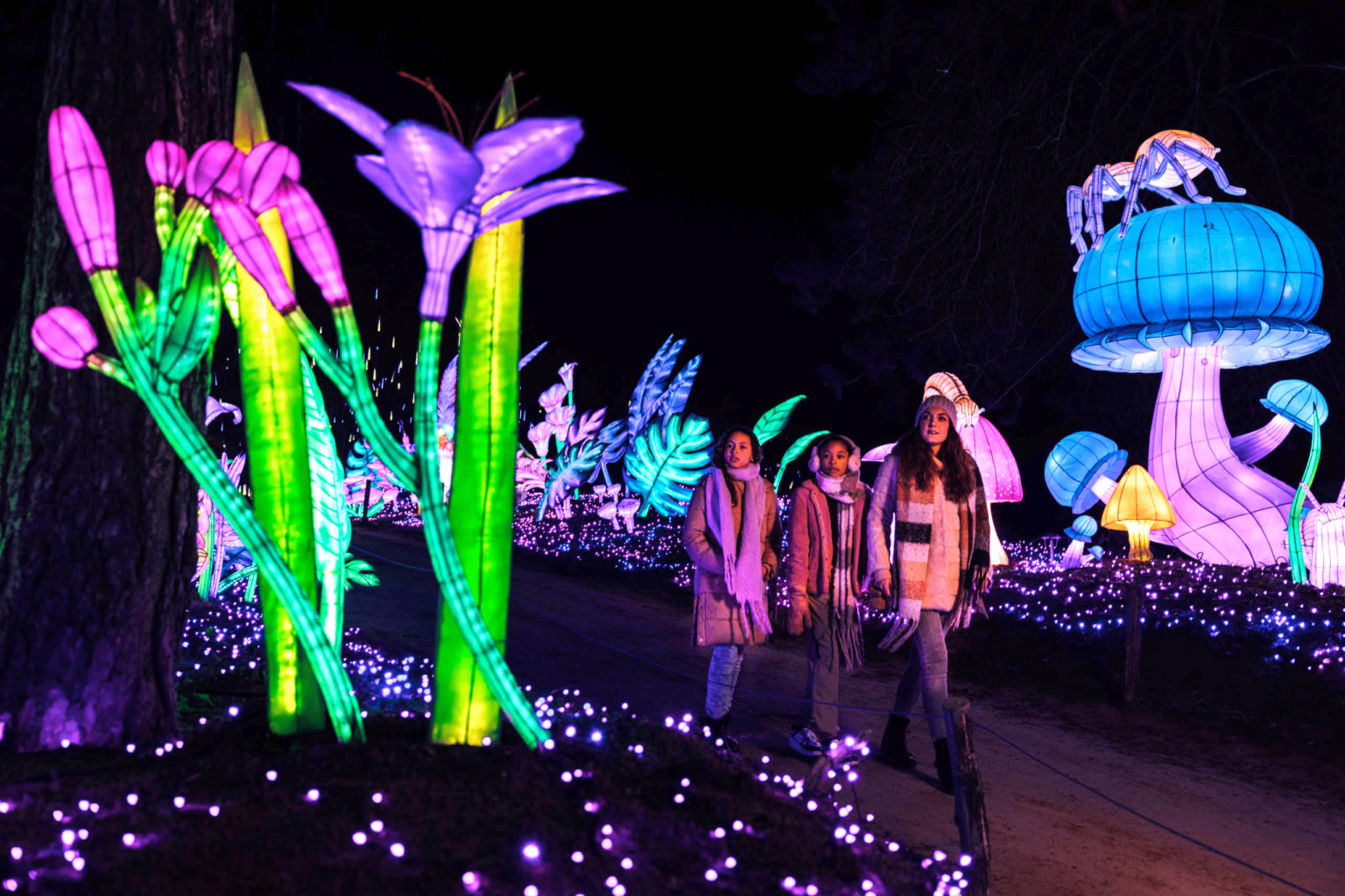 Light Safari 2025-2026 in Beekse Bergen | Tips voor je bezoek